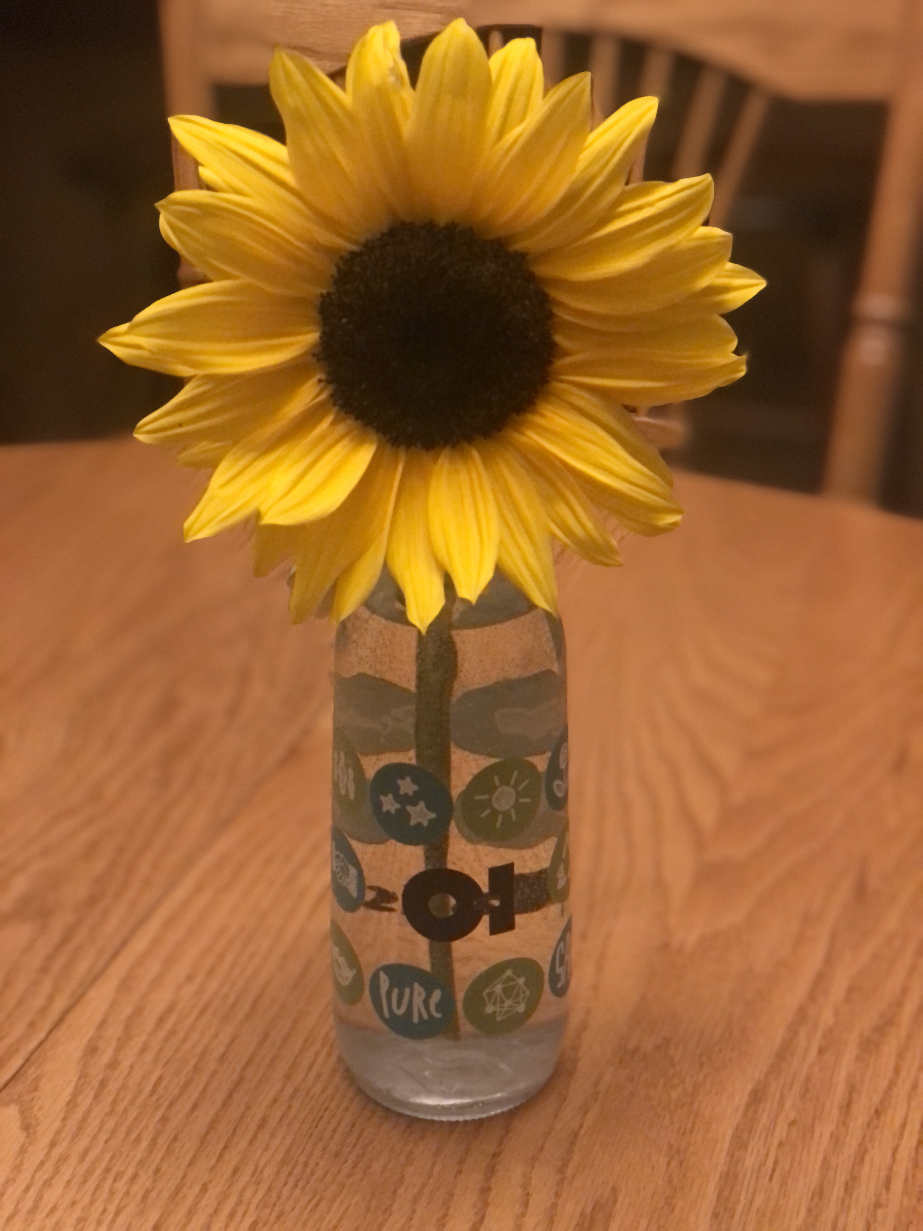 Learning to Transition – Graceful Grief